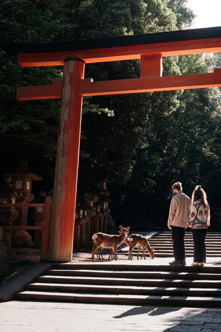 Visiter Nara et son parc au Japon : que faire en une journée