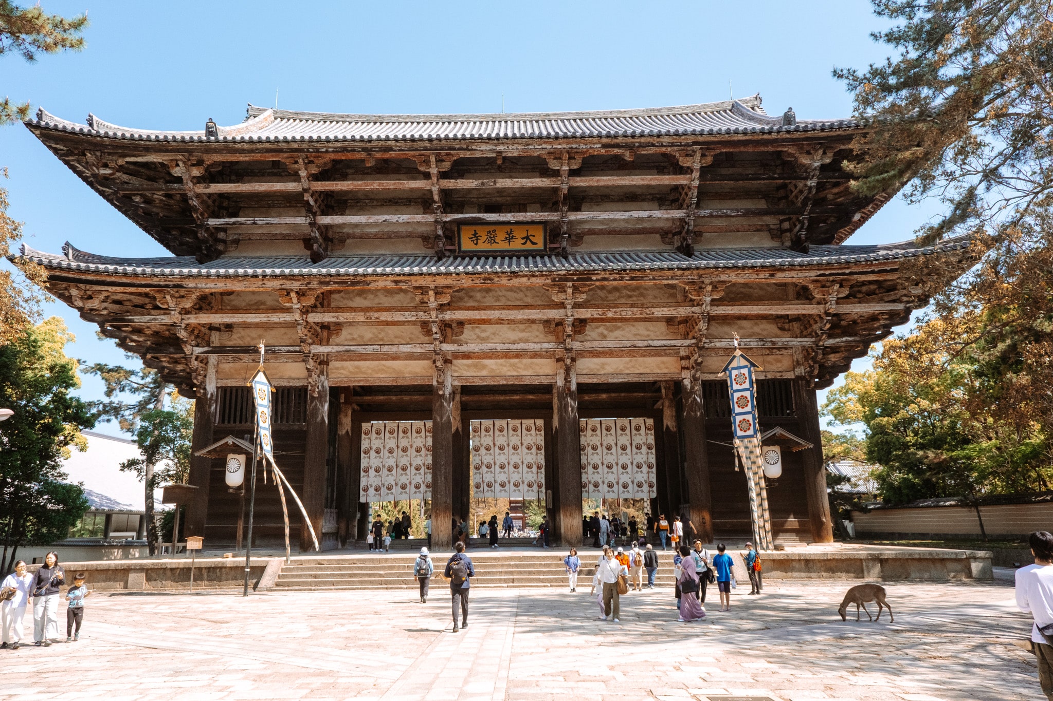 Visiter Nara et son parc au Japon : que faire en une journée
