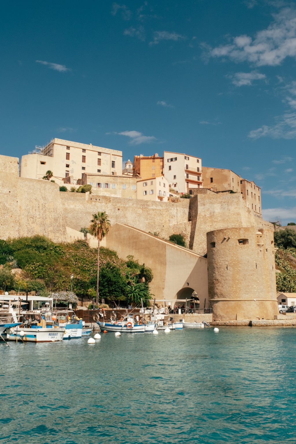Que faire à Calvi en Corse : guide complet et adresses