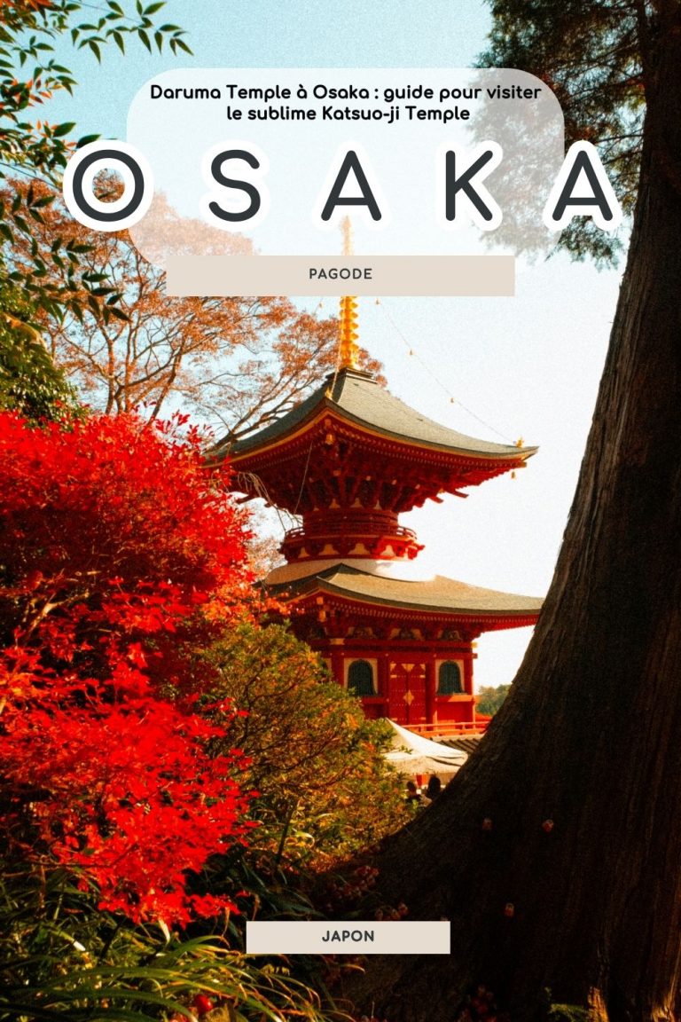 Le temple du Daruma à Osaka : guide complet de visite